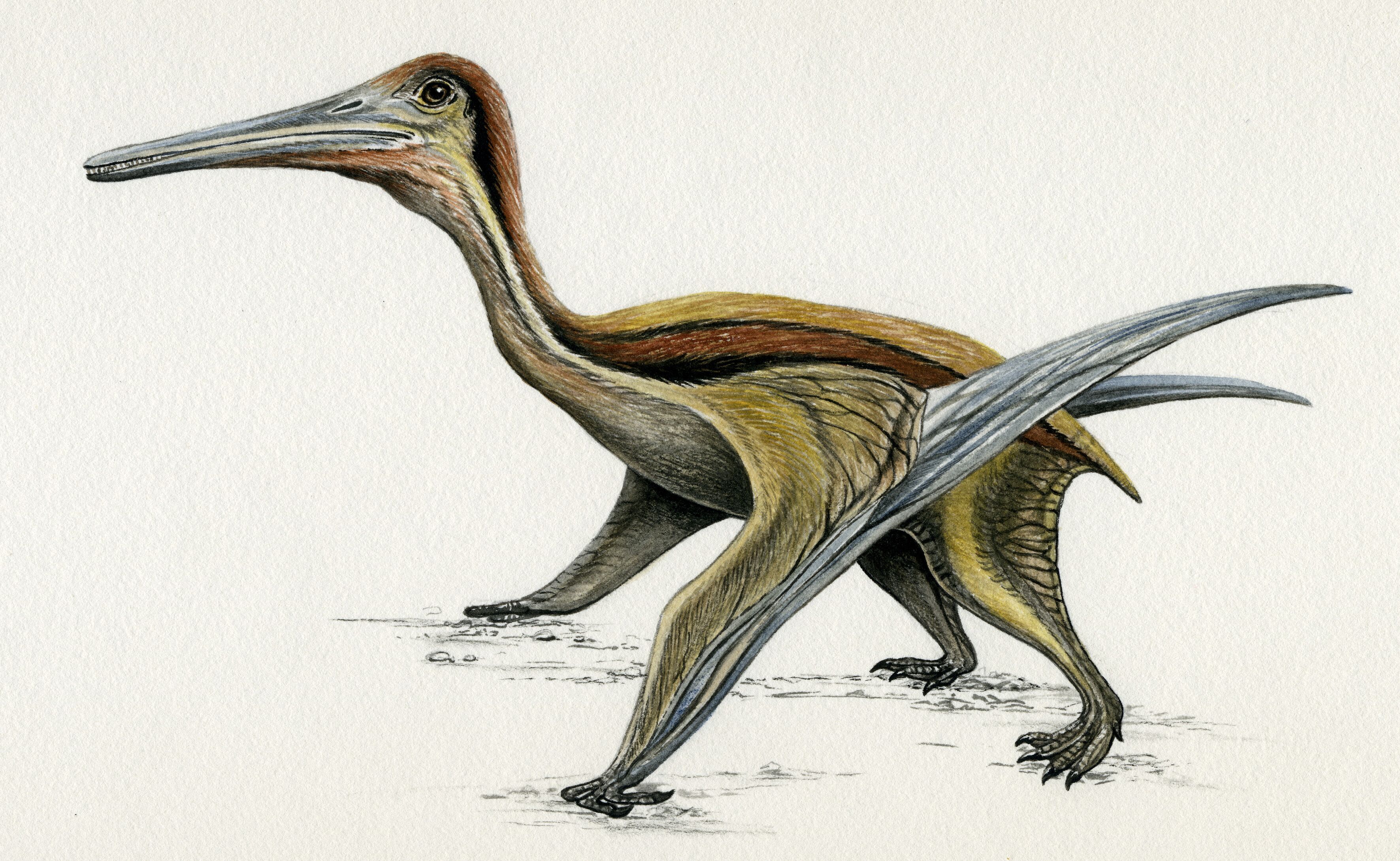 Villaviciosa noticias | De total actualidad | Equipo científico del ...