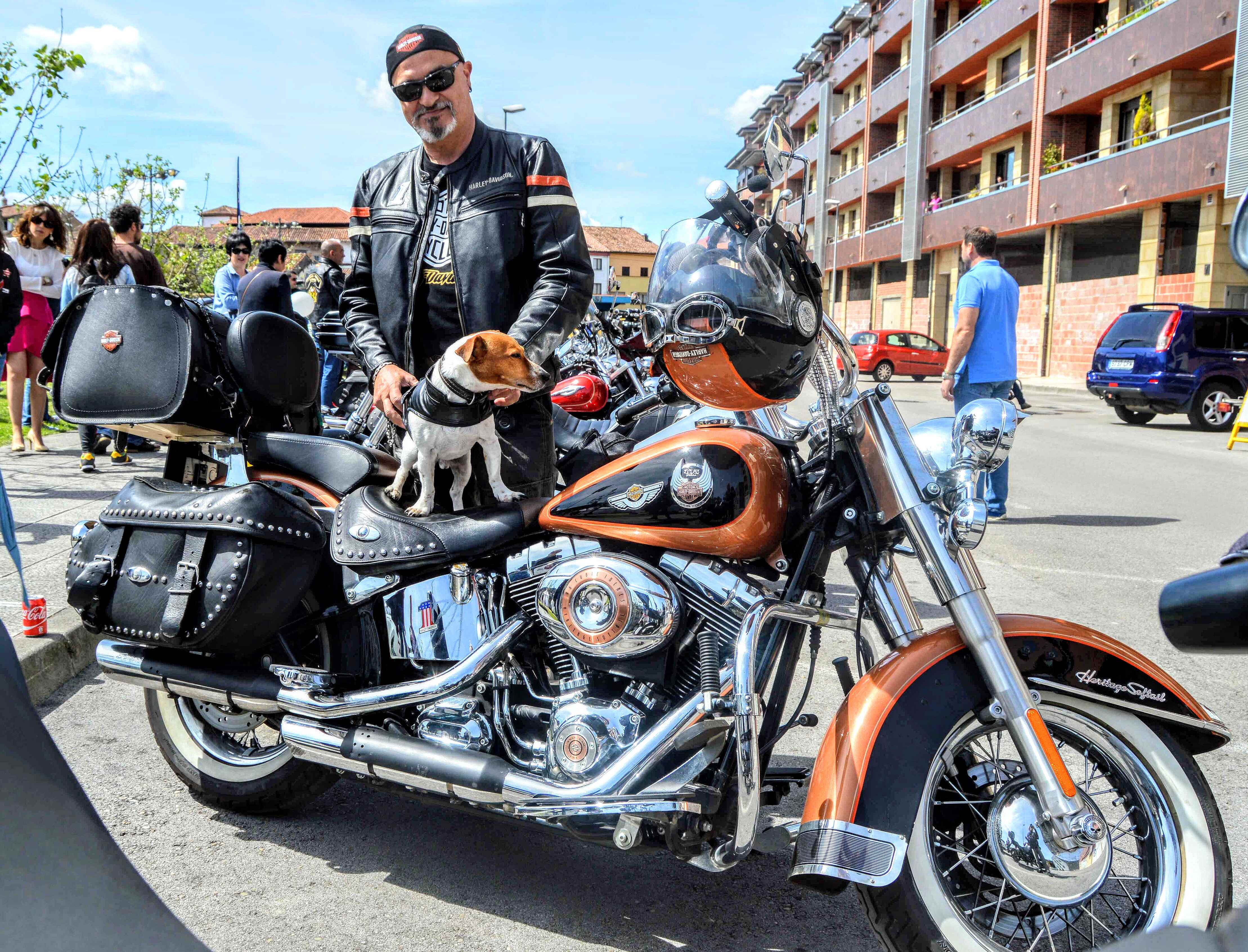 Auténticas Harley Davidson ‘Made in USA’ en Villaviciosa, en una ...